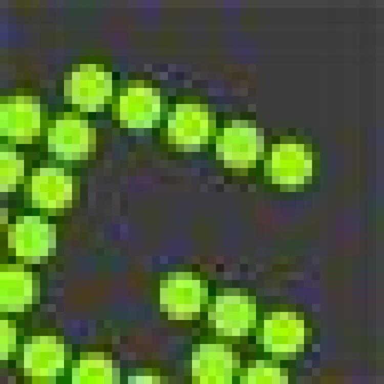 Download Greenshot for Windows PC free