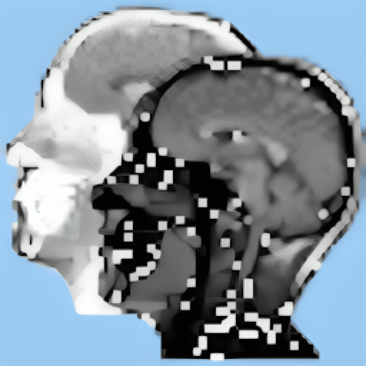 Download DICOM Viewer for Windows PC free